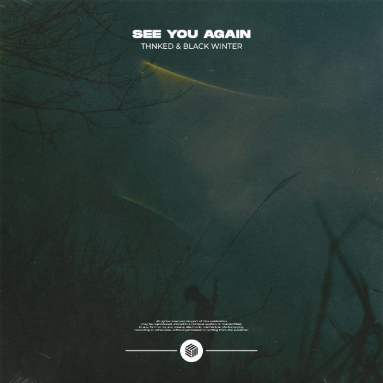 Thnked & Black Winter - See You Again (Extended Mix) - EDM Lake Zippyshare