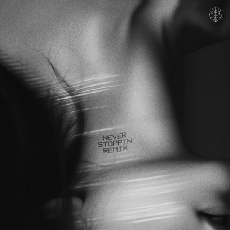 Julian Jordan & Nouni - NEVER STOPPIN' (PRINSI Extended Remix) - EDM Lake Zippyshare