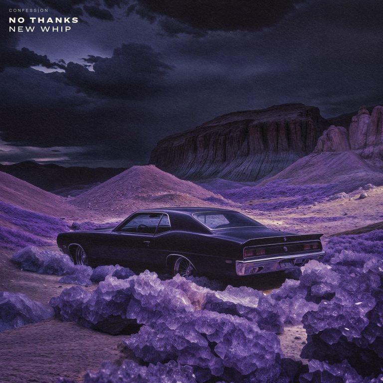 No Thanks - New Whip (Original Mix) - EDM Lake Zippyshare