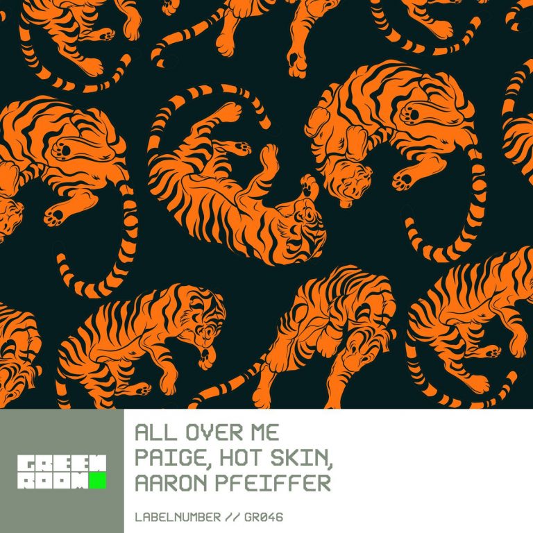 Paige, HOT SKIN, Aaron Pfeiffer - All Over Me (Extended Mix) - EDM Lake Zippyshare