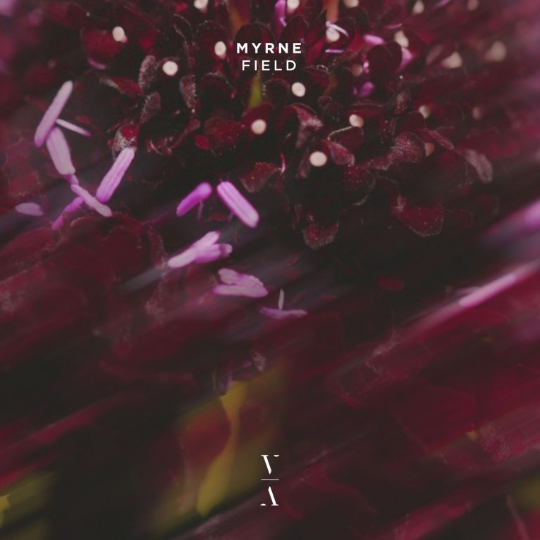 MYRNE - Field (Extended Mix) - EDM Lake Zippyshare